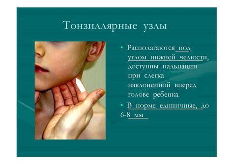 Методика обследования органов кроветворения пальпация перкуссия презентация онлайн