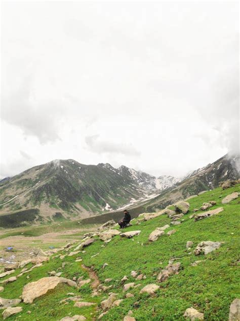 골짜기 길 나무 수직 쐈어 여름 오솔길 잔디에 관한 무료 스톡 사진