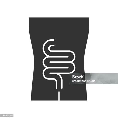 건강한 장 문부신 아이콘 건강에 좋은 인간의 기관 기능 소화 시스템 건강에 좋은 위장관 실루엣 기호입니다 음수 공간입니다 벡터 절연 그림 개념에 대한 스톡 벡터 아트 및
