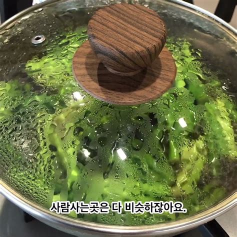 사람사는곳은 어디든 다 비슷해요🐶italy이탈리아밥심 Youtube