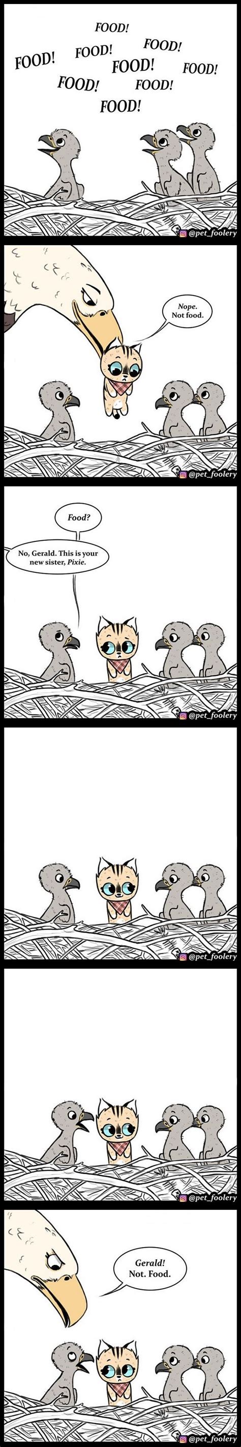 Pixie And Brutus 33 34 Carlini Divertenti Cose Divertenti