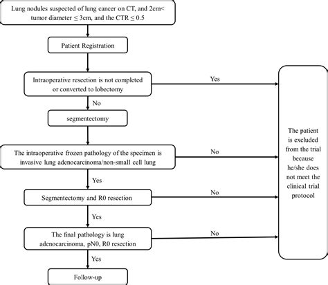 Segmentectomy For Ground Glass Dominant Invasive Lung Cancer With Tumour Diameter Of 2 3 Cm
