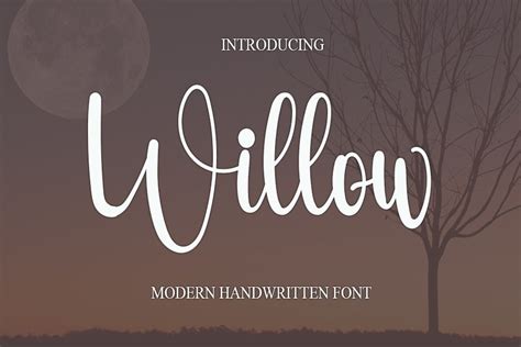 Willow Font By Nya Letter · Creative Fabrica