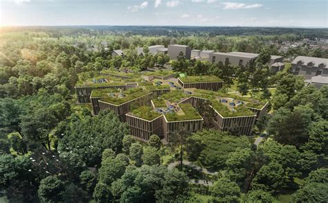 Forest Tag Archdaily