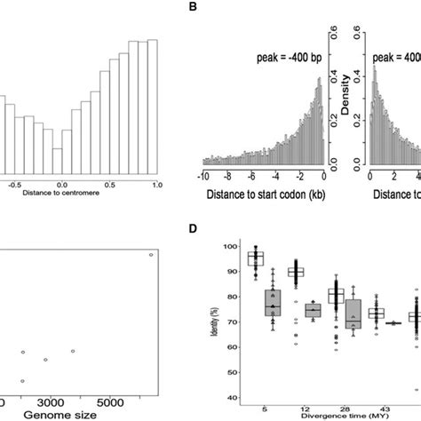 Key Characteristics About Genomic Distribution Abundance And Download Scientific Diagram