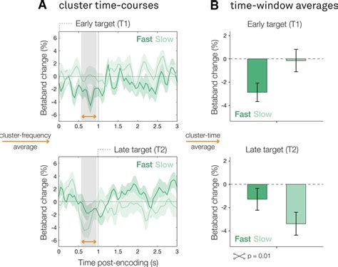 Prospection Of Potential Actions During Visual Working Memory Starts