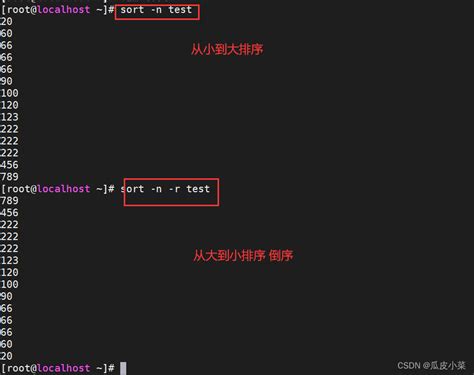Linux基础——快捷命令补充（sort，uniq，tr，cut，expr，split，paste，eval）eval Expr Linux Csdn博客