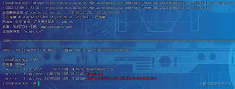 Linux服务器文件服务搭建 Minio部署前言 因为springboot和分布式系统的普及，目前的大部分项目都会单独 掘金