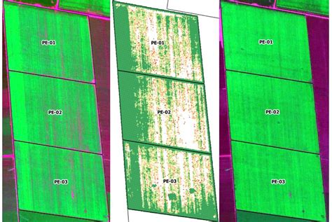 Cotton Growth Management With Precision Agriculture Global Ag Tech Initiative