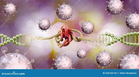 A Twisted Path The Impact Of Viral Infection On Dna Replication Stock