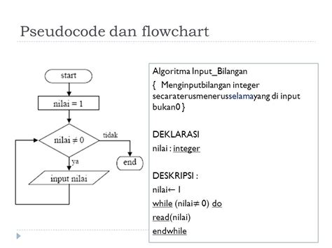 Contoh Flowchart Do While C Contoh Oi