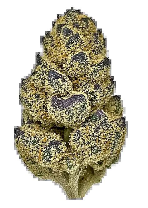 Rocky Road Cannabis Strain Information Growdiaries