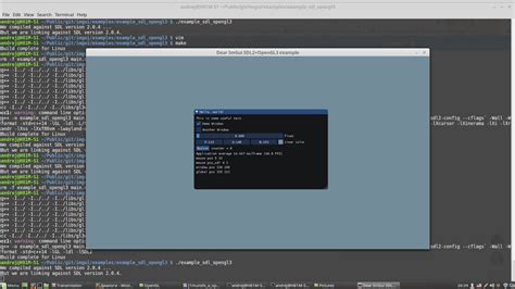 Cursor Y Offset On Linux SDL Issue 1886 Ocornut Imgui GitHub