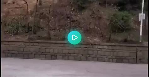 Avalanche Album On Imgur