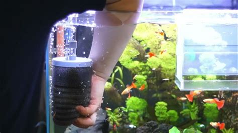 바사 Basa 스펀지 여과기 이벤트 협찬 Youtube