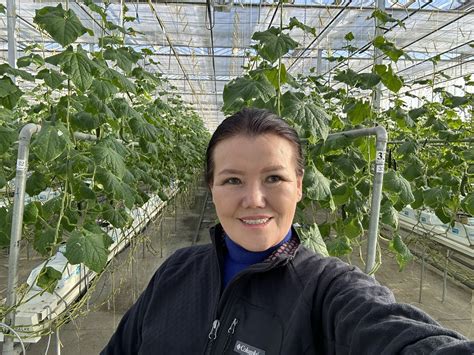 Batengineer On Twitter Хятад ногоо муу монгол ногоо сайн гэж бхгүй Зүгээр л пестицитээ