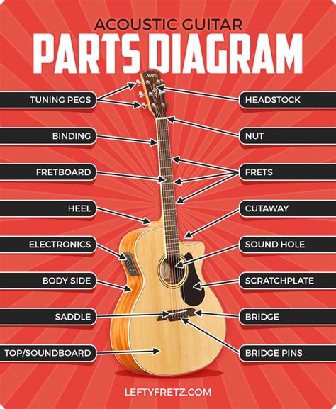 Acoustic Guitar Diagram With Label