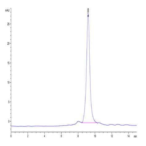 Syd Labs 货号：bp004204 Human Complement Component 3 Protein With The C