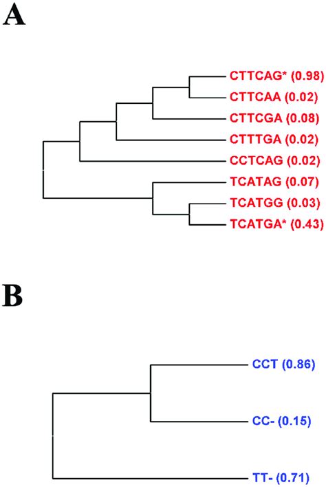 Haplotypes Of Nucleotides Found In Biallelic Polymorphic Positions At Download Scientific