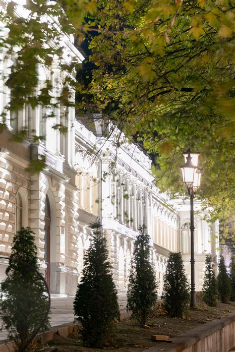 მოსწავლე ახალგაზრდობის ეროვნული სასახლე Insi