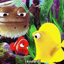 Finding Nemo Meme S Tenor