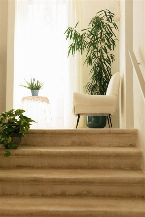 Gallery — Masseria Derchia