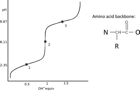Solved Please Help From The Curve What Is The Relationship Between