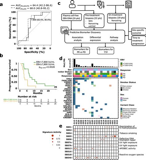 Pre Treatment Plasma Circulating Ebv Dna Levels And Mutational