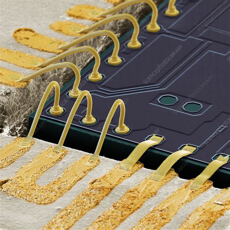 Silicon Chip Sem Stock Image T370 0782 Science Photo Library