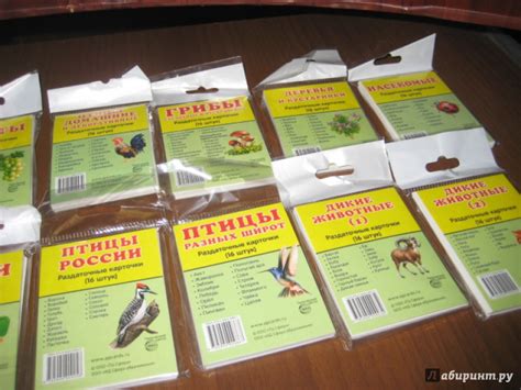 Книга: Раздаточные карточки "Продукты питания" (16 штук) - . Купить ...