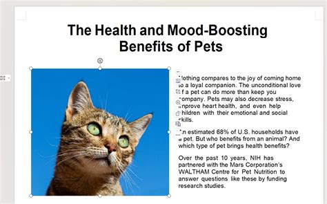 Ways To Remove Images From PDF Online Free UPDF