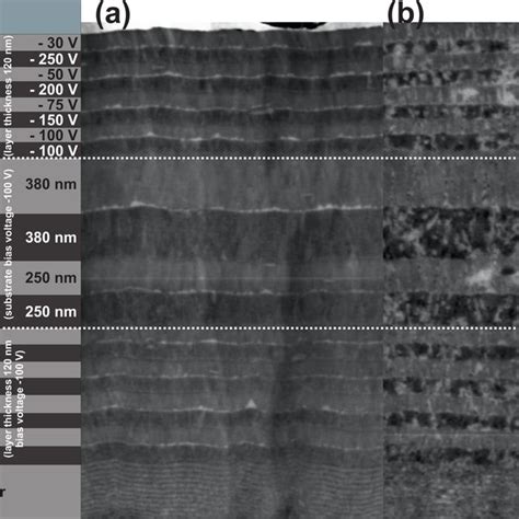 Sem Micrographs Of Cross Sections Of The Multi Layered Coating In The