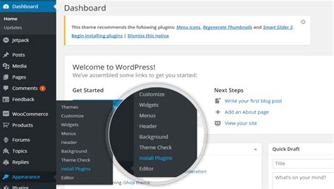How To Install A Required Or Recommended Plugin WordPress Theme Store InsertCart
