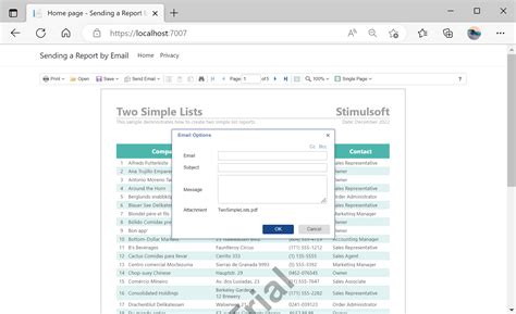 Sending A Report By Email Samples