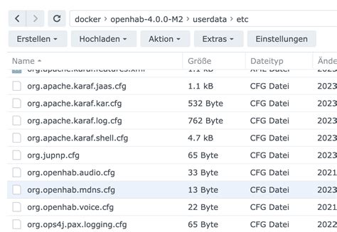 Permanently Disable Openhab Mdns Service Bindings Openhab Community