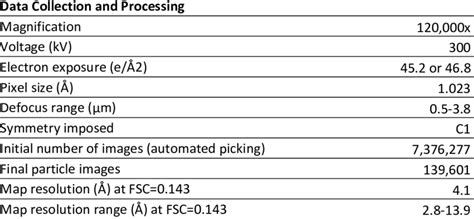 Cryo Em Data Collection And Processing And Subsequent Model Building Download Scientific