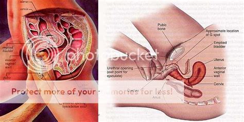 Serious Reddit What Are You Supposed To Do After Sex R AskReddit