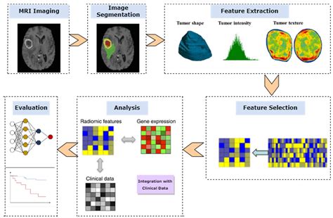 cancers free full text radiomics and machine learning in brain