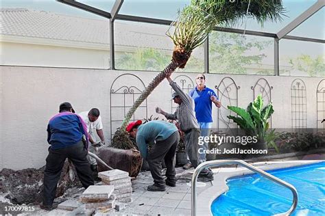 Installing Handrails Photos And Premium High Res Pictures Getty Images