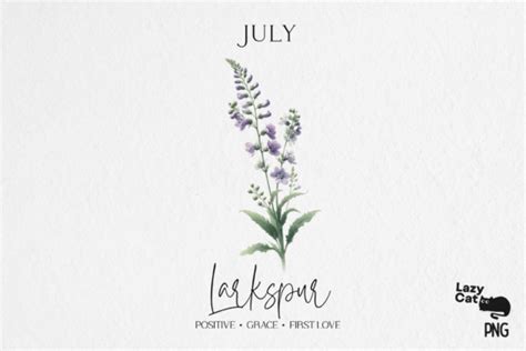 Birth Month Flower Clipart July Graphic By Lazy Cat · Creative Fabrica