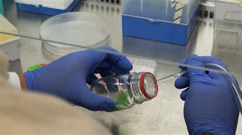 Uc Davis Researchers Produce Meat From Cells Pythag Tech Posted On The Topic Linkedin