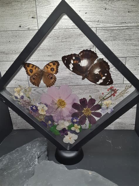 3d floating frames with real butterflies and real flowers etsy