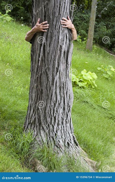Environmentalist Tree Hugger Is Hugging Wood Trunk In Forest Royalty Free Stock Image