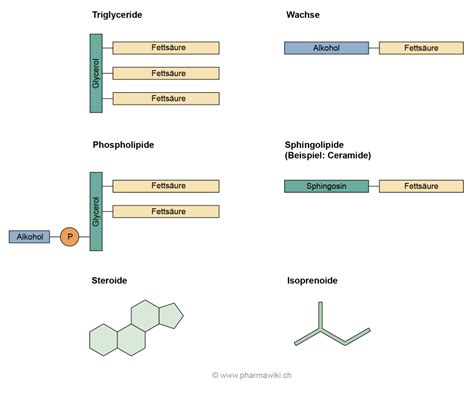 PharmaWiki Lipide