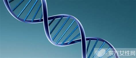 什麼是染色體核型分析？染色體核型分析報告怎麼看 每日頭條