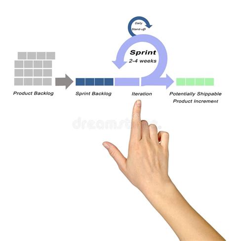 Scrum Framework Roles Ceremonies Artefacts Stock Photo Image Of Diagram Staff 239326562