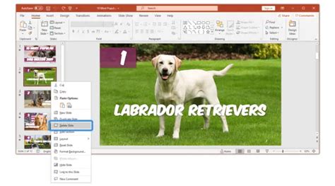 Solved How To Delete A Slide In PowerPoint Your Slide Buddy