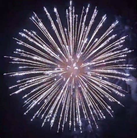 10 Inch Firework Shell Firework Fireworks Feuerwerk Pyro