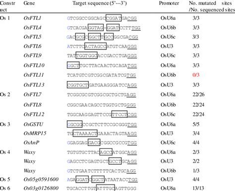 summary of the binary constructs target sequences of the genes and