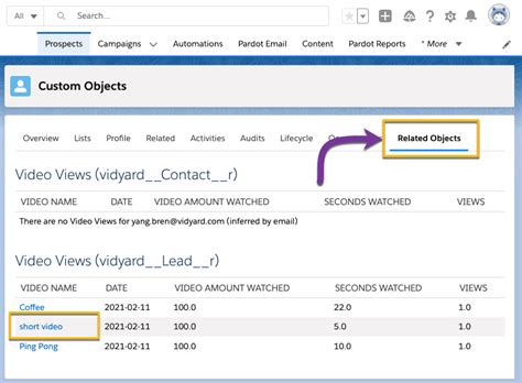 How To Sync Vidyards Custom Object In Salesforce With Your Pardot